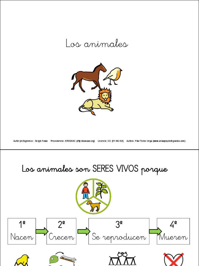 Los Animales | PDF | Carne | Mamíferos