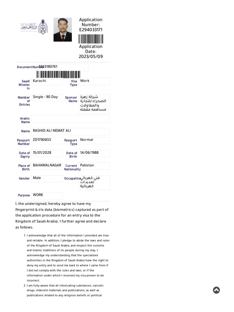 Visa Platform | PDF | Travel Visa | Saudi Arabia