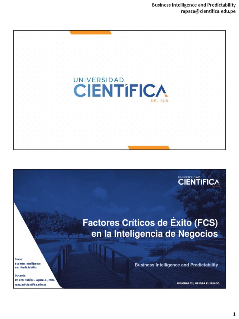 SES 09-BIFC DR RLAA | PDF