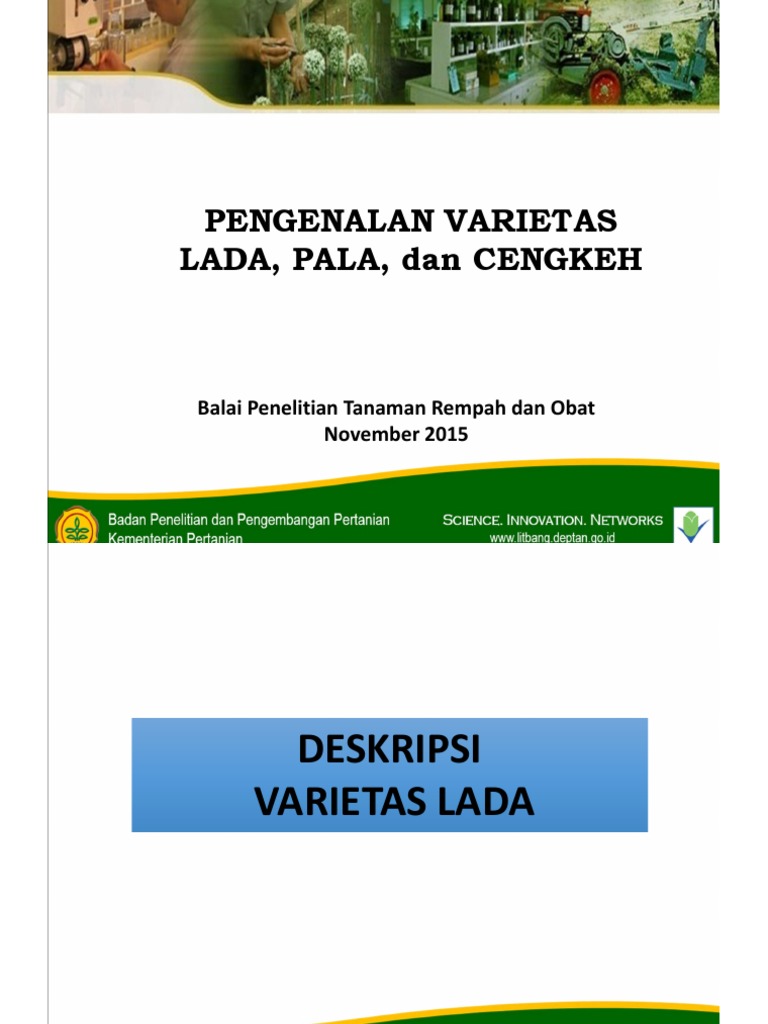 Deskripsi Varietas Lada dan Pala | PDF | Memasak, Makanan, & Anggur