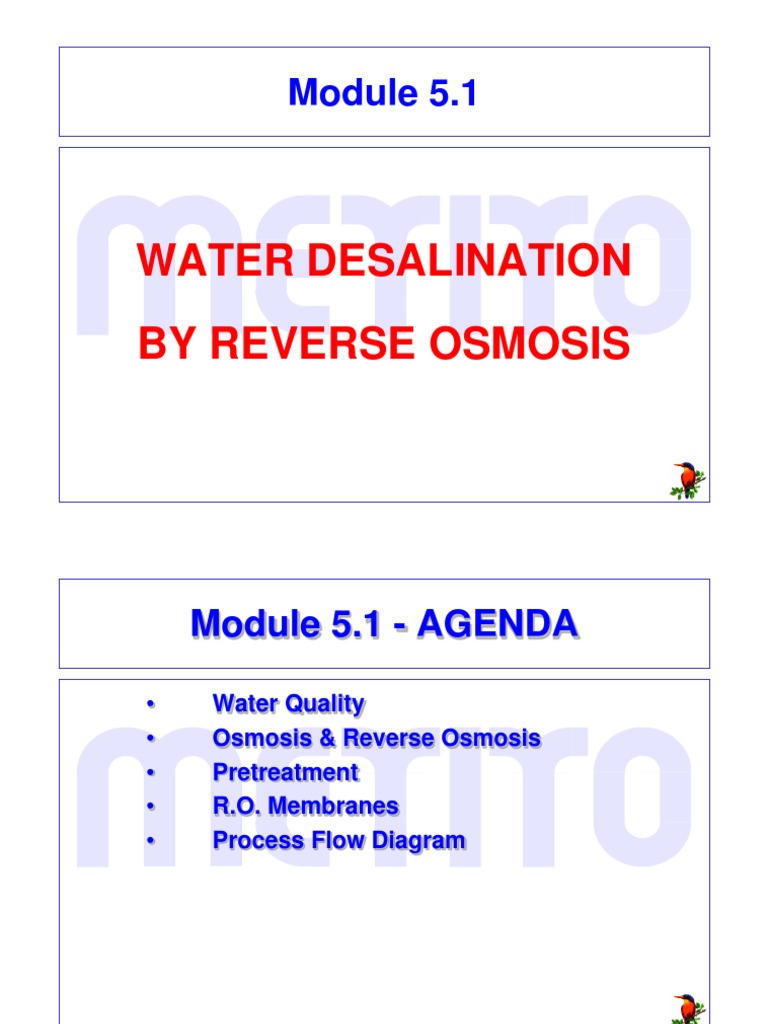 Reverse Osmosis | PDF