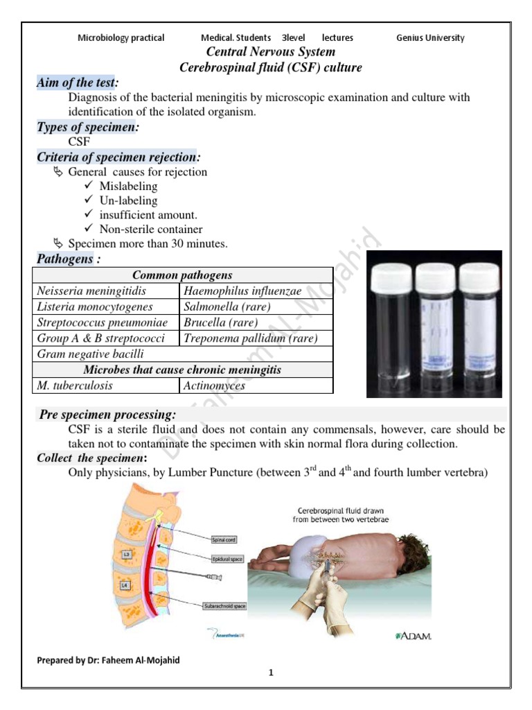 Lecture CSF 1 | PDF | Meningitis | Cerebrospinal Fluid