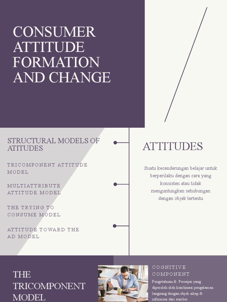 Consumer Attitude Formation And Change Pdf