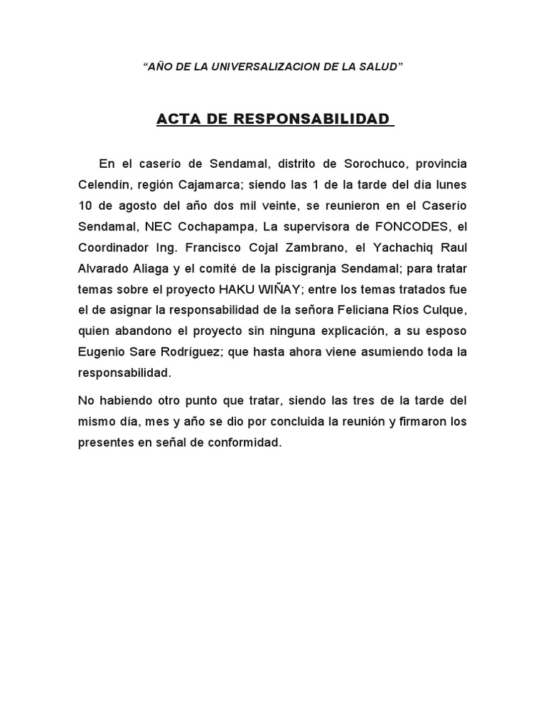 Acta de Responsabilidad | PDF
