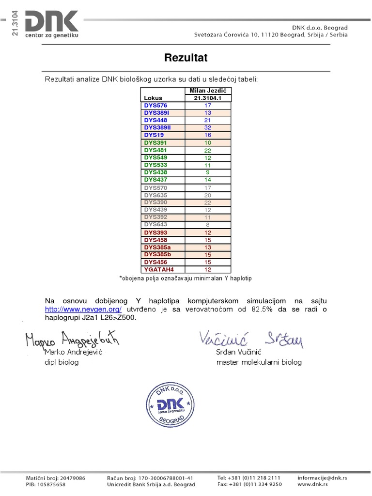 DNK - Nalaz Y - Haplotip POREKLO 3104 Druga Strana | PDF