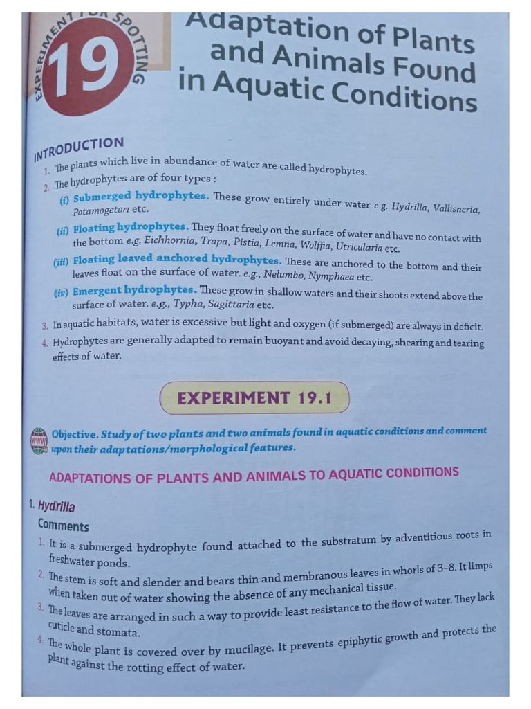 Aquatic Adaptation | PDF