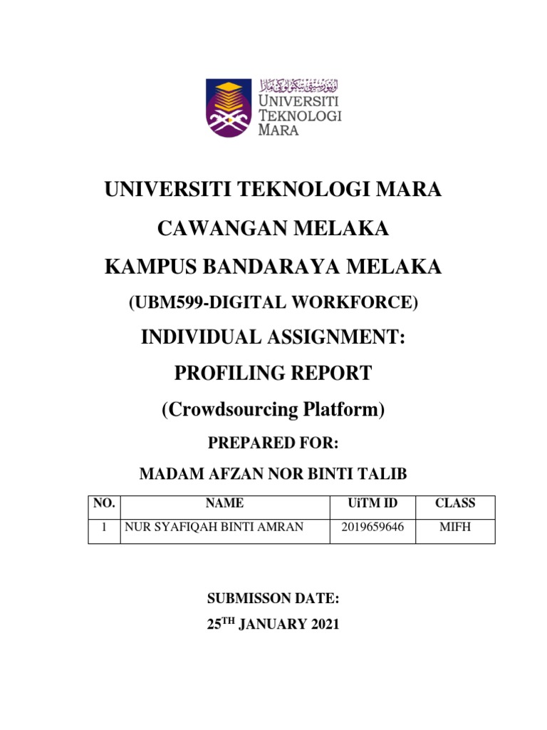 Assignment Profiling Report Ubm599 | PDF | Freelancer | Linked In