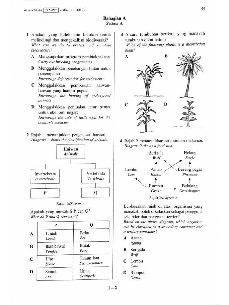 Biodiversity and Ecosystem Interactions | PDF