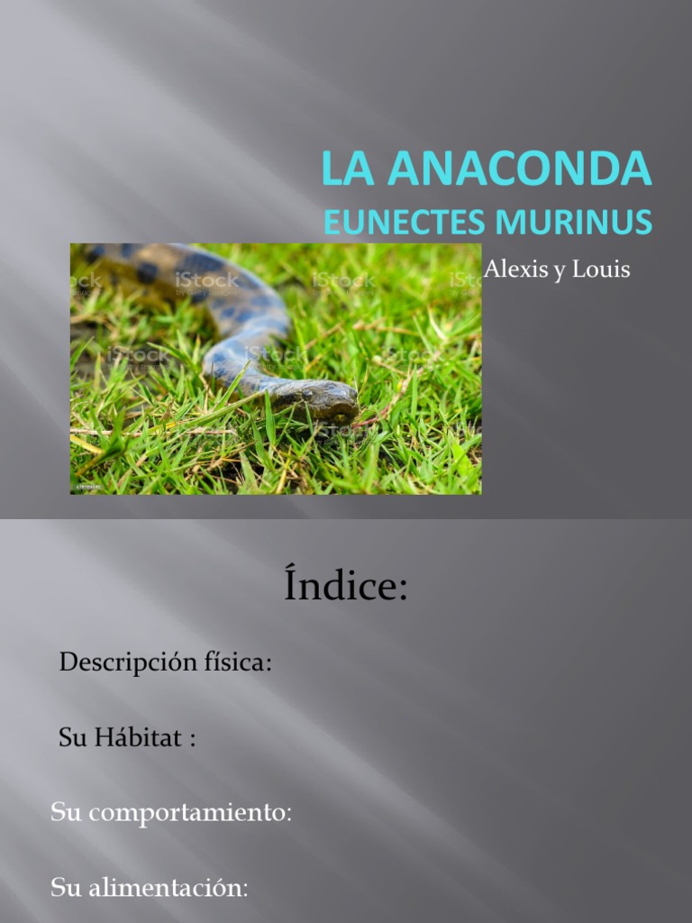 El Anaconda | PDF