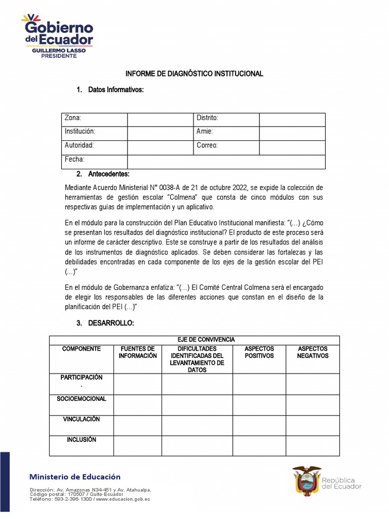 Informe Diagnóstico | PDF