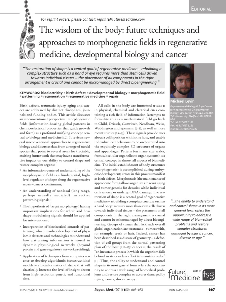 2011 Levin. The Wisdom of The Body | PDF