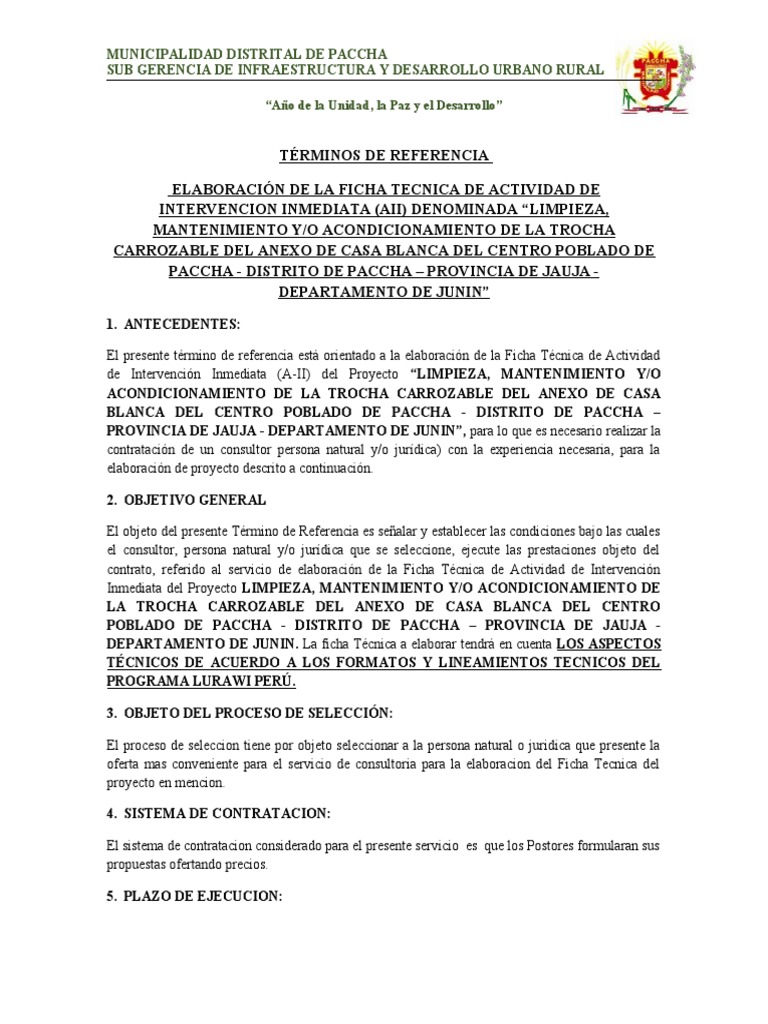 TDR Ficha Aii Trocha Carrozable | PDF | Gobierno