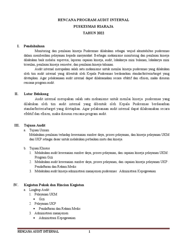 Rencana Audit Internal Puskesmas 2022 | PDF