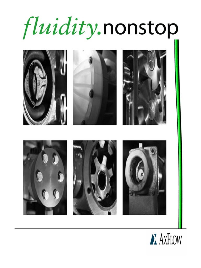 Apresentação - AXFLOW | PDF | Portugal | Europa