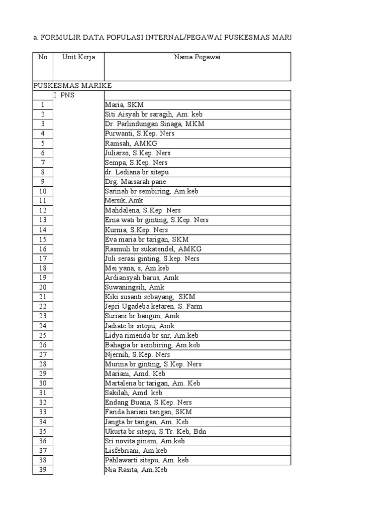 Data Lengkap PNS, p3k, Non Asn Marike 2 | PDF