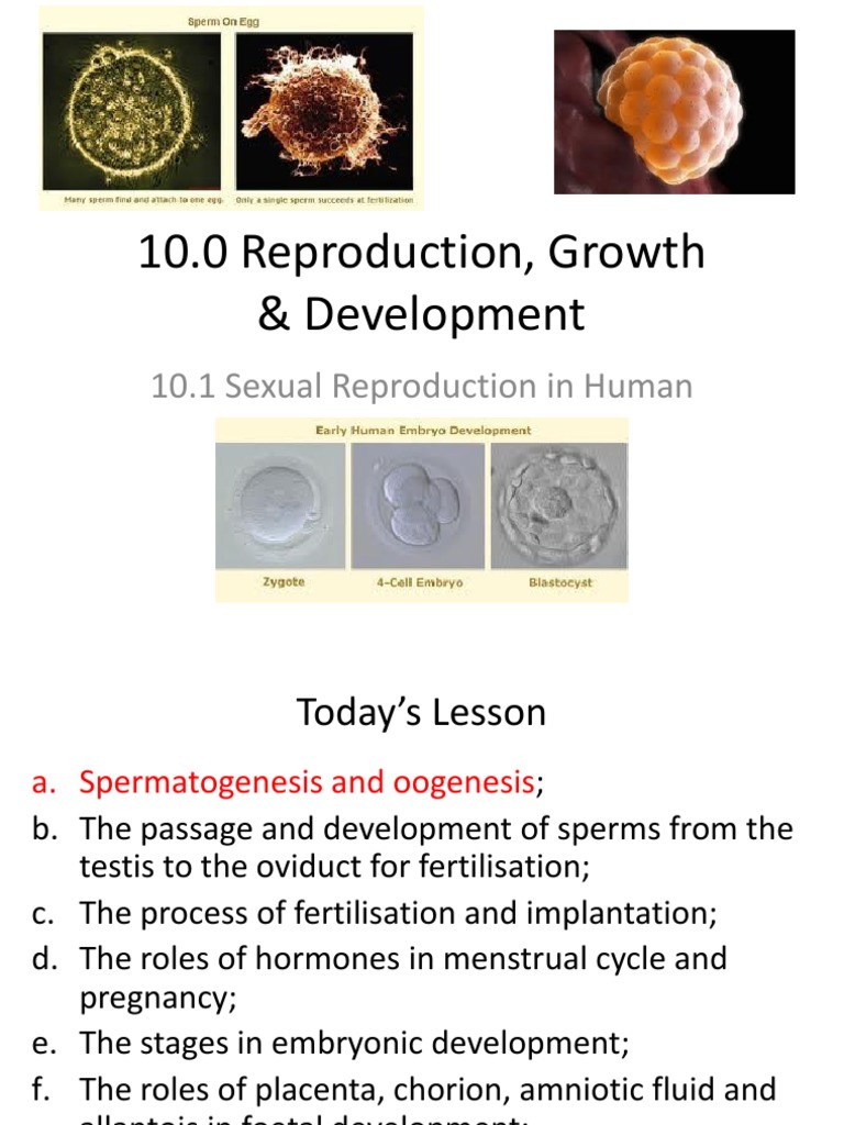 10.1a Sexual Reproduction in Human | PDF | Meiosis | Luteinizing Hormone