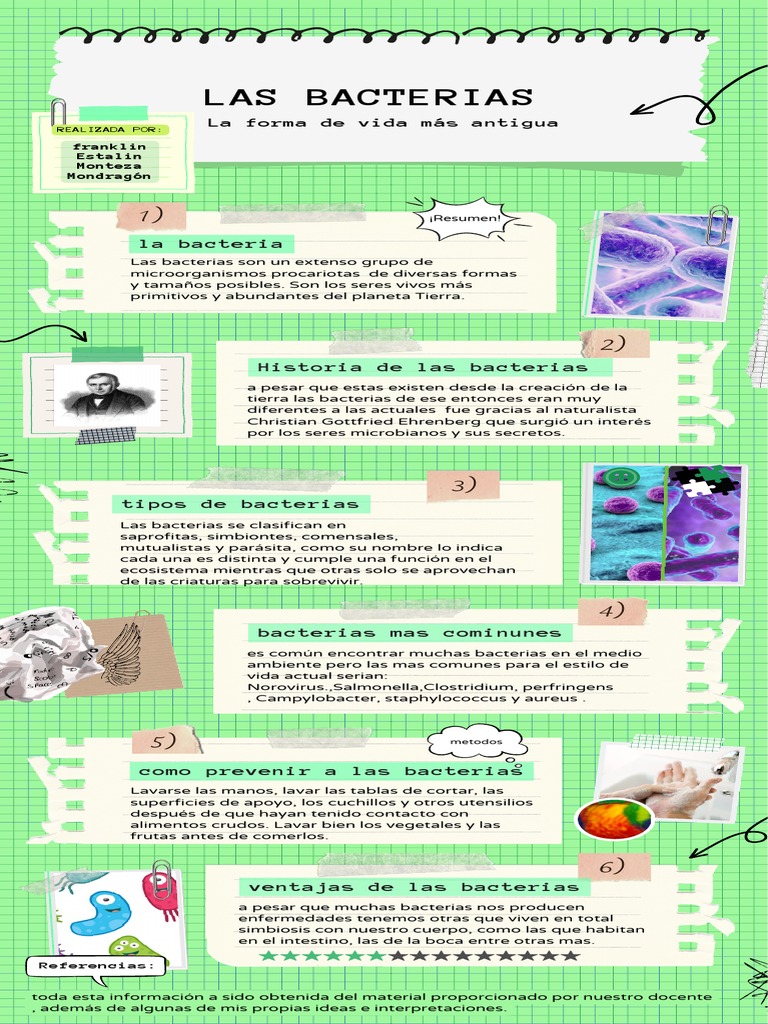 Tipos y beneficios de las bacterias | PDF | Las bacterias | Simbiosis