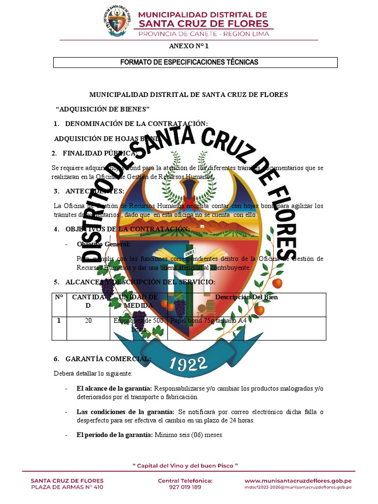 Modelo TDR - Hojas Bond | PDF