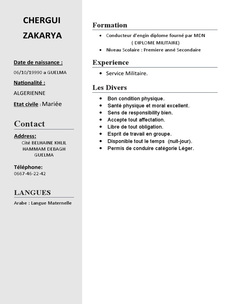 CV Anglais | PDF