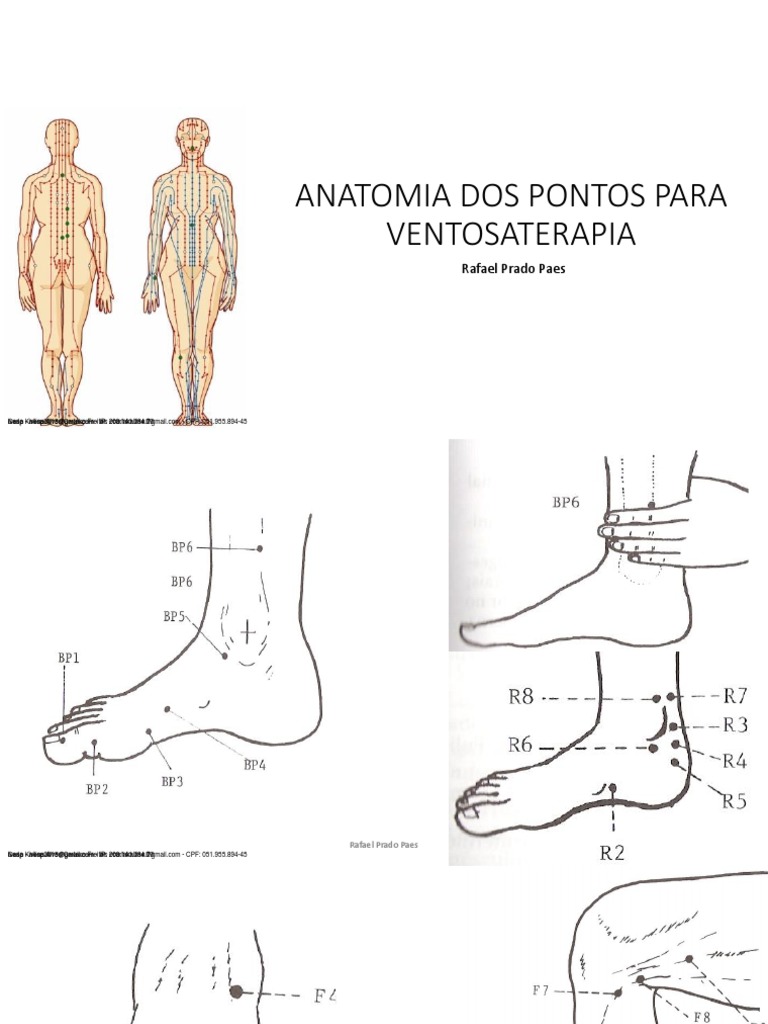 Anatomia Dos Pontos para Ventosaterapia | PDF