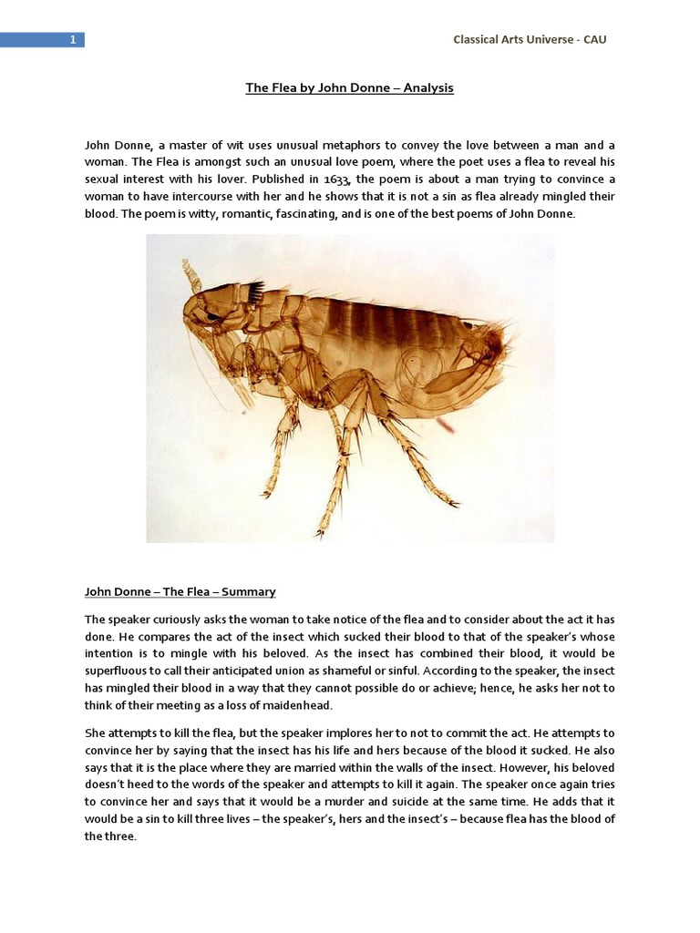 John Donne The Flea | PDF | Poetry