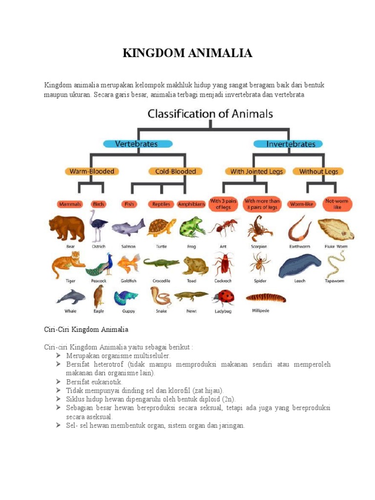 Kingdom Animalia | PDF