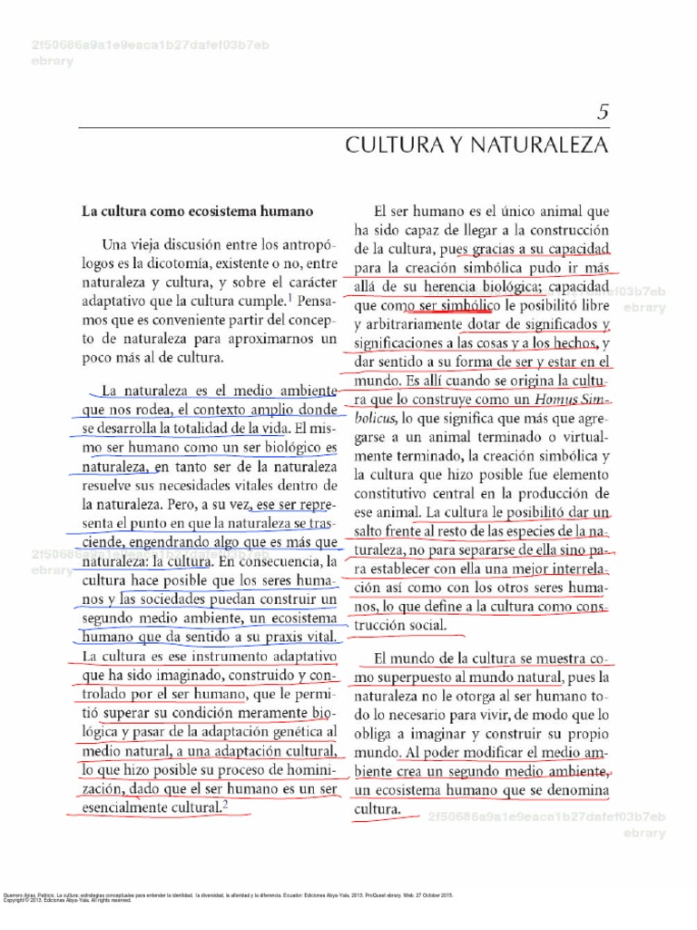 La Cultura Estrategias Conceptuales para Entender La Identidad La Diversidad La Alteridad y La ...