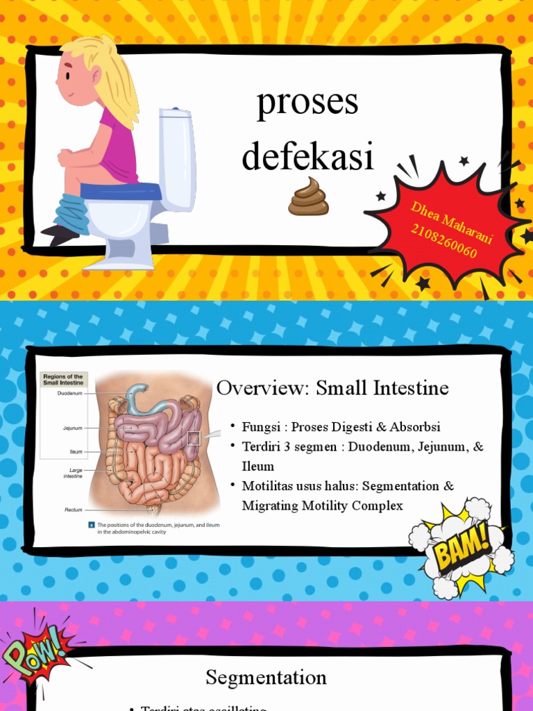 Defecation Process | PDF
