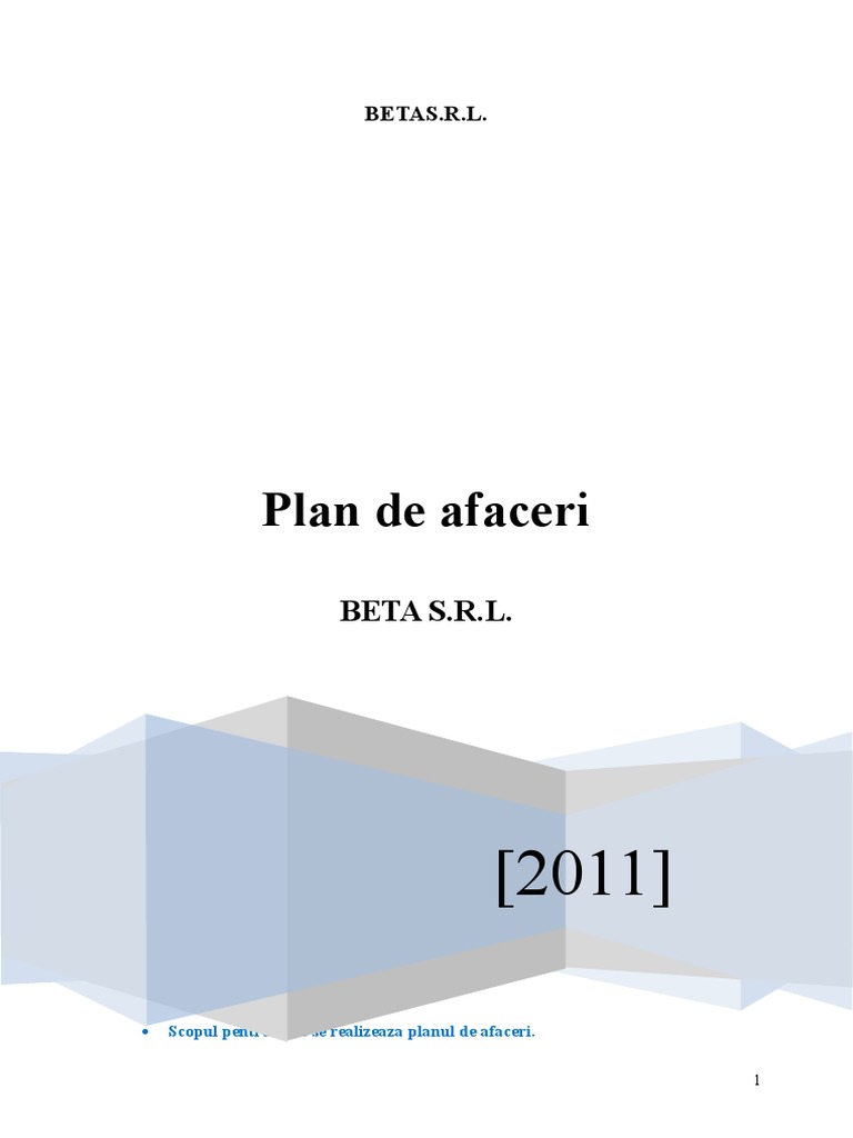 Model Plan de Afaceri | PDF