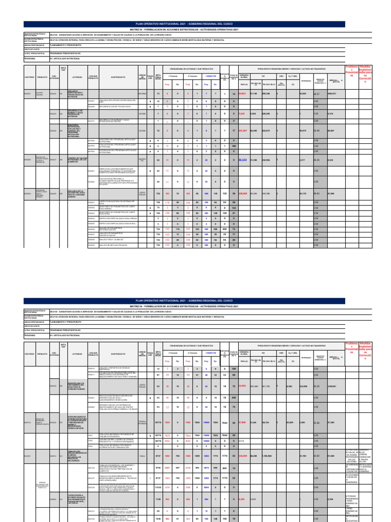 Avance de Metas Fisicas 2021 | PDF | Salud pública