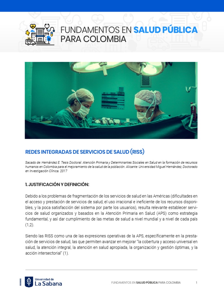 Redes Integradas (2020) | PDF | Sistema de salud | Salud pública