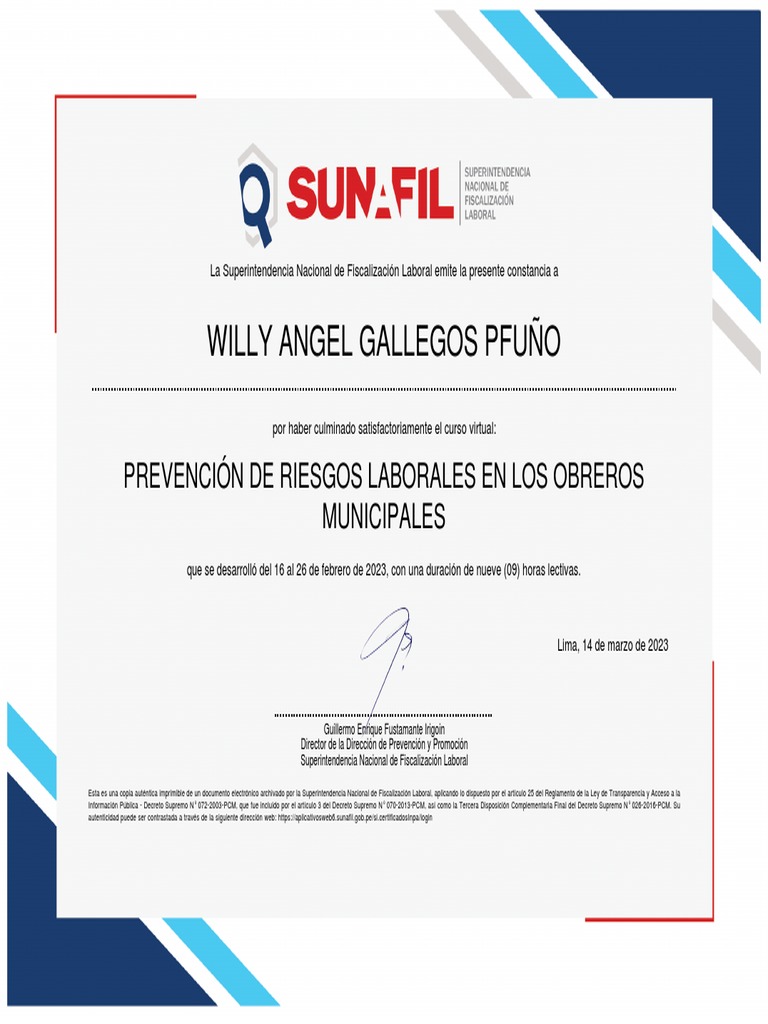 Certificado Sunafil | PDF