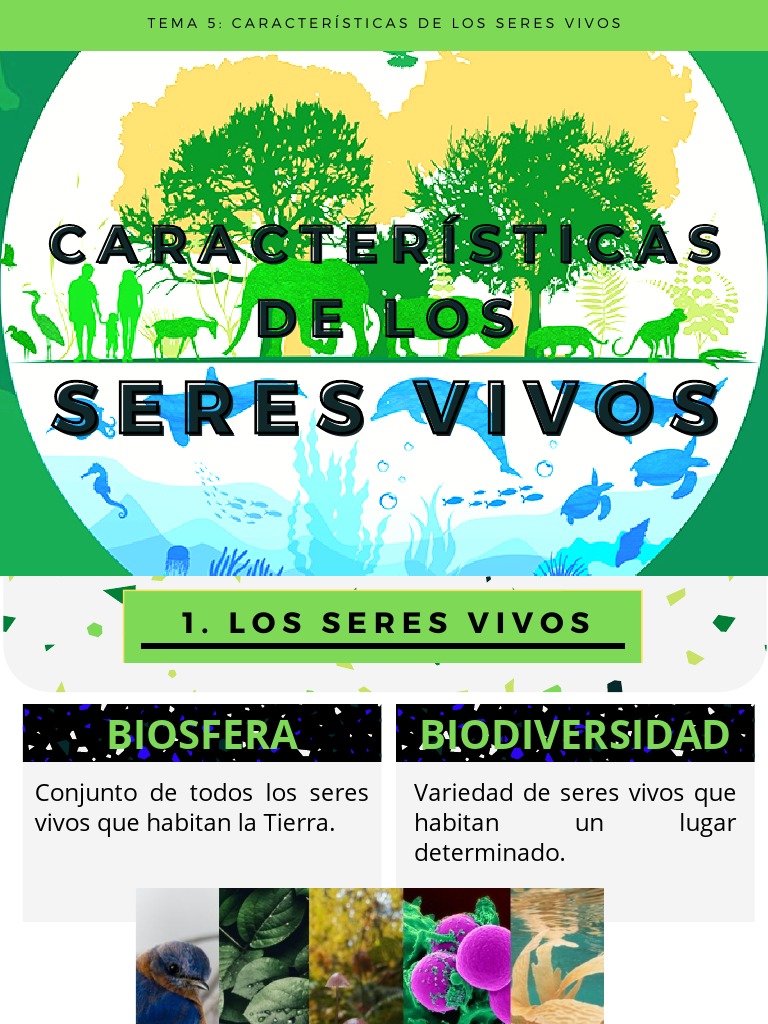 TEMA 5 Características de Los Seres Vivos | PDF | Biología Celular ...