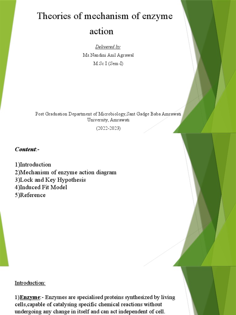 Theories of Mechanism of Enzyme | PDF | Active Site | Enzyme