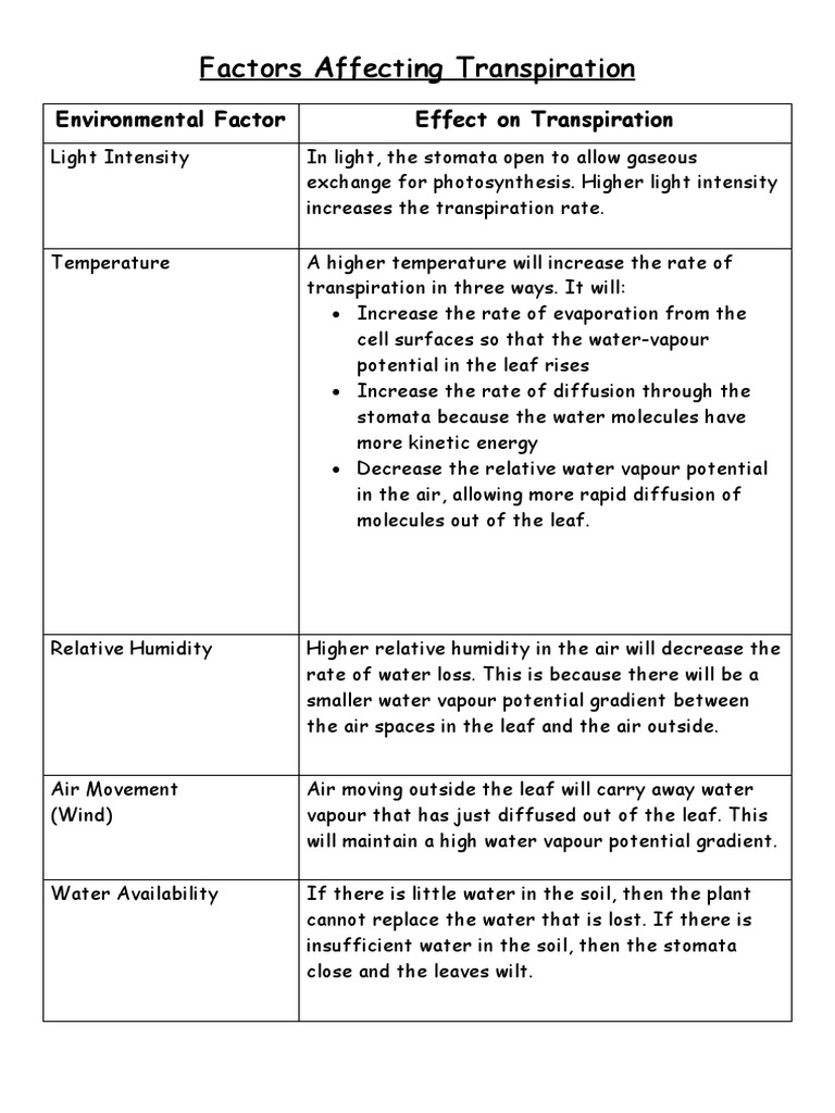 Factors Affecting Transpiration Information | PDF