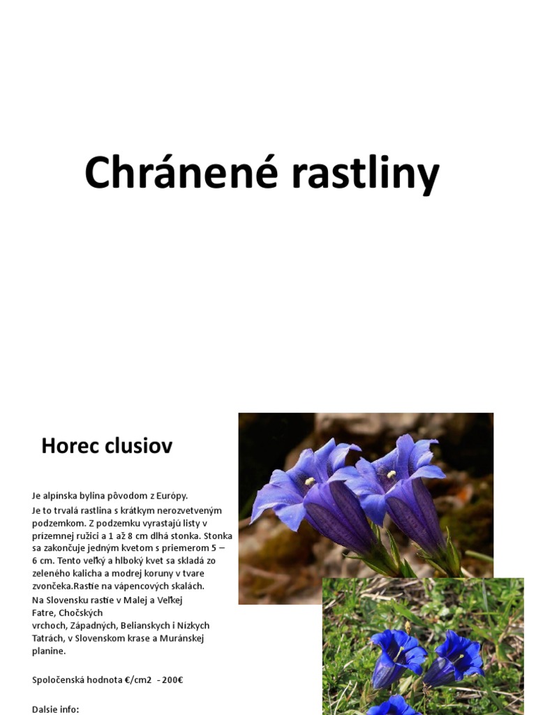 Chránené Rastliny | PDF