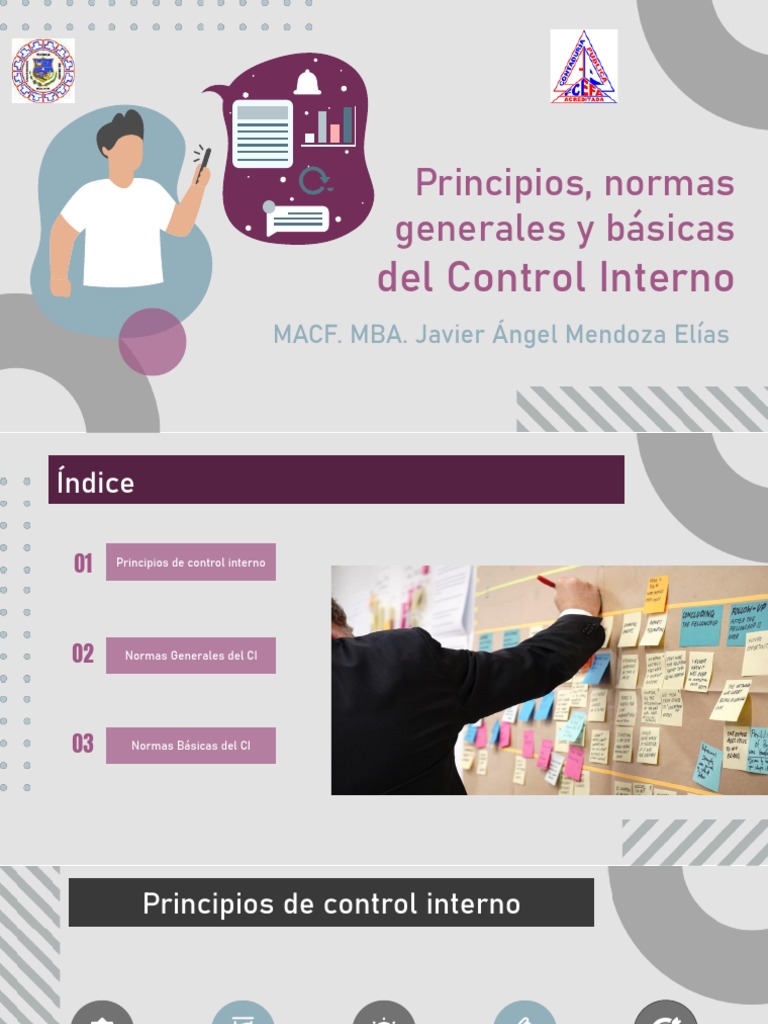 Principios y Normas de Control Interno | PDF | Calidad (comercial) | Auditoría