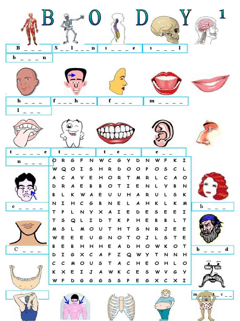 Body Parts Word Search Puzzle | PDF | Human Anatomy | Human Head And Neck