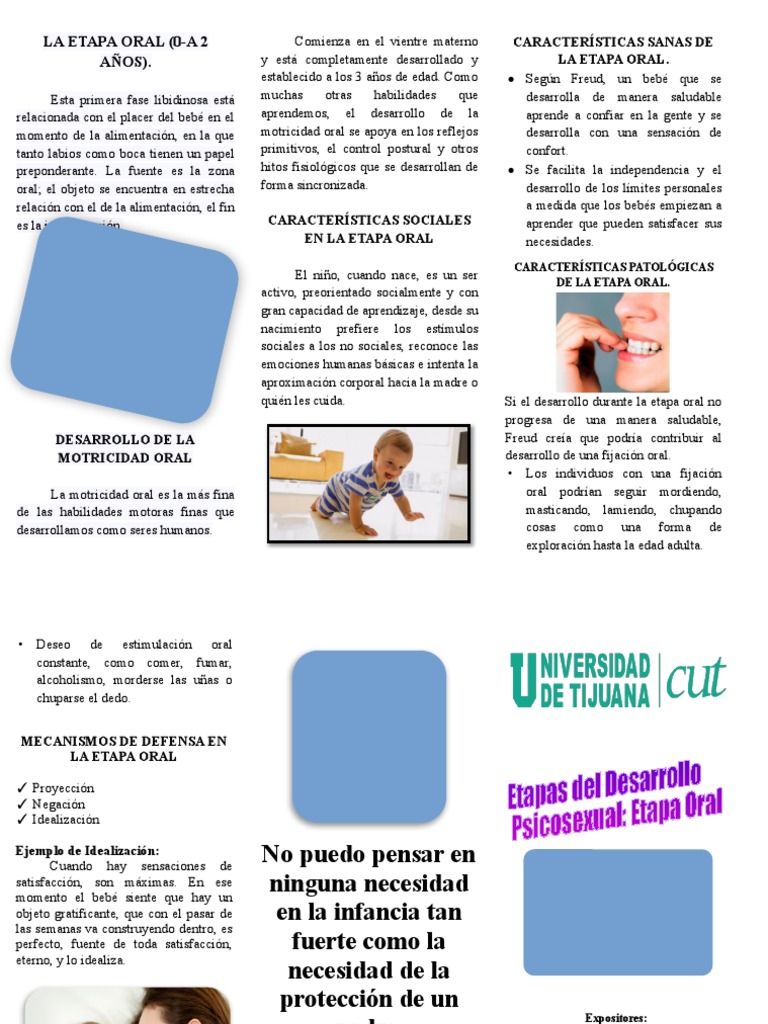 Tripticos | PDF | Infancia | Cognición