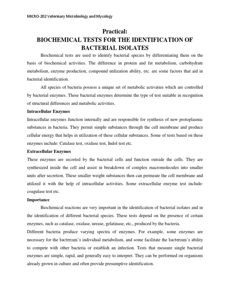 Biochemical Tests | PDF | Growth Medium | Bacteria
