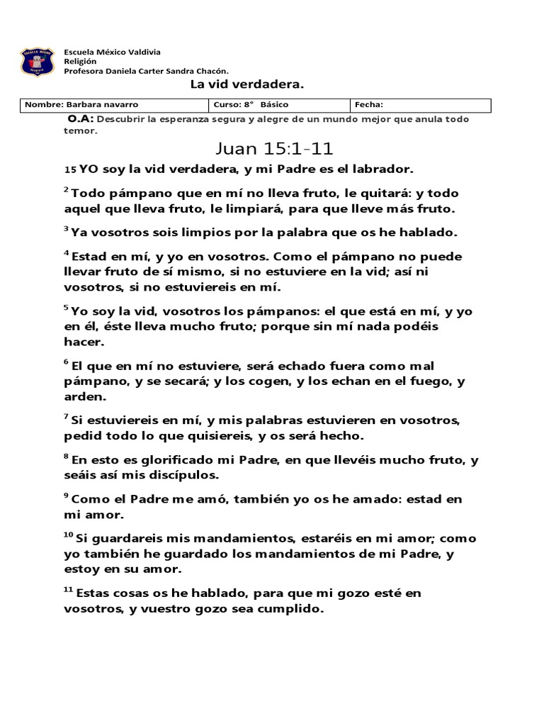 8 básico La vid verdadera | PDF | Vitis | eucaristía