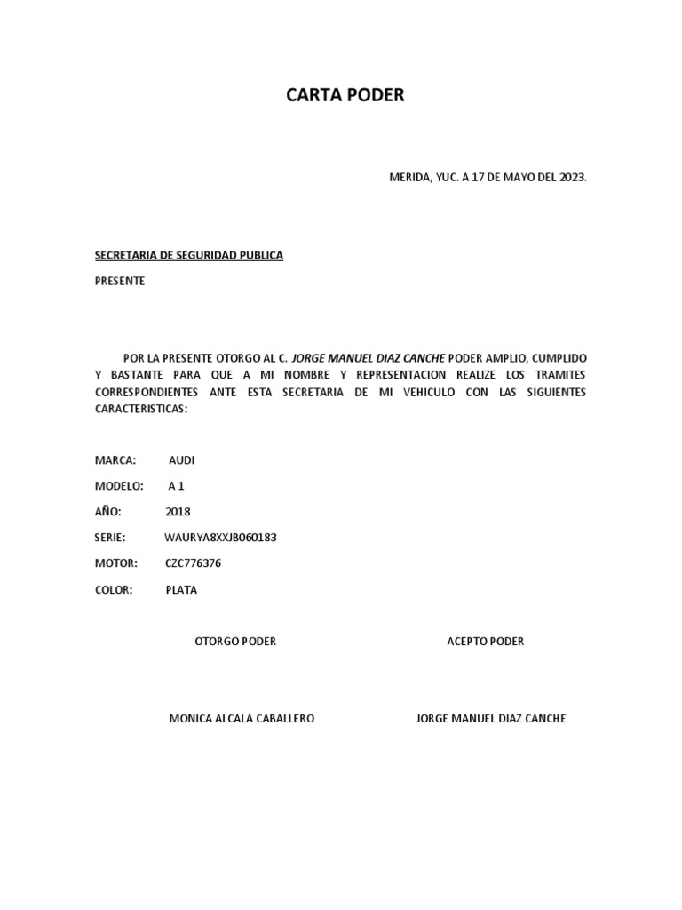 Carta Poder Simple para Trámites | PDF