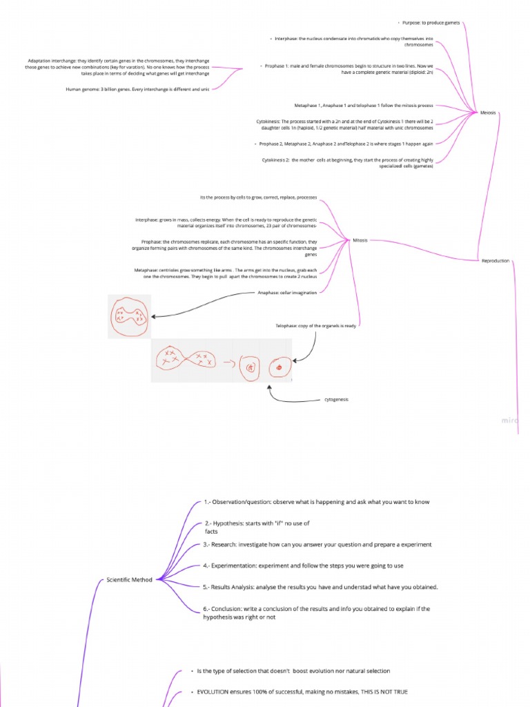 Mind Map-2 | PDF