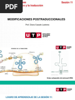 Dextrogira y Levogira | PDF | Chiralidad (Química) | Síntesis química