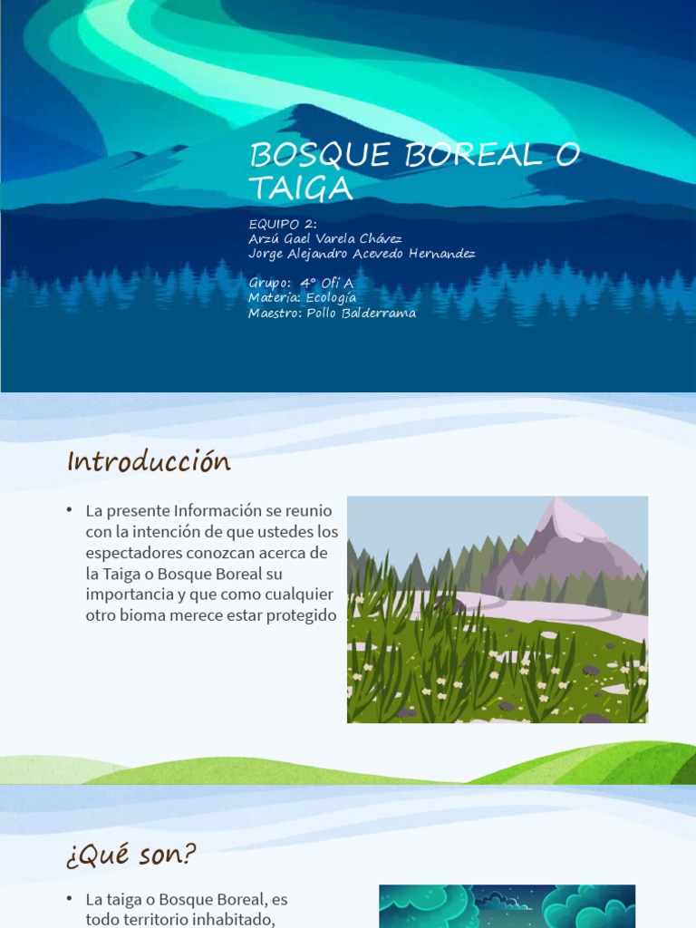 Bosque Boreal o Taiga | PDF | Los bosques | Geografía Física