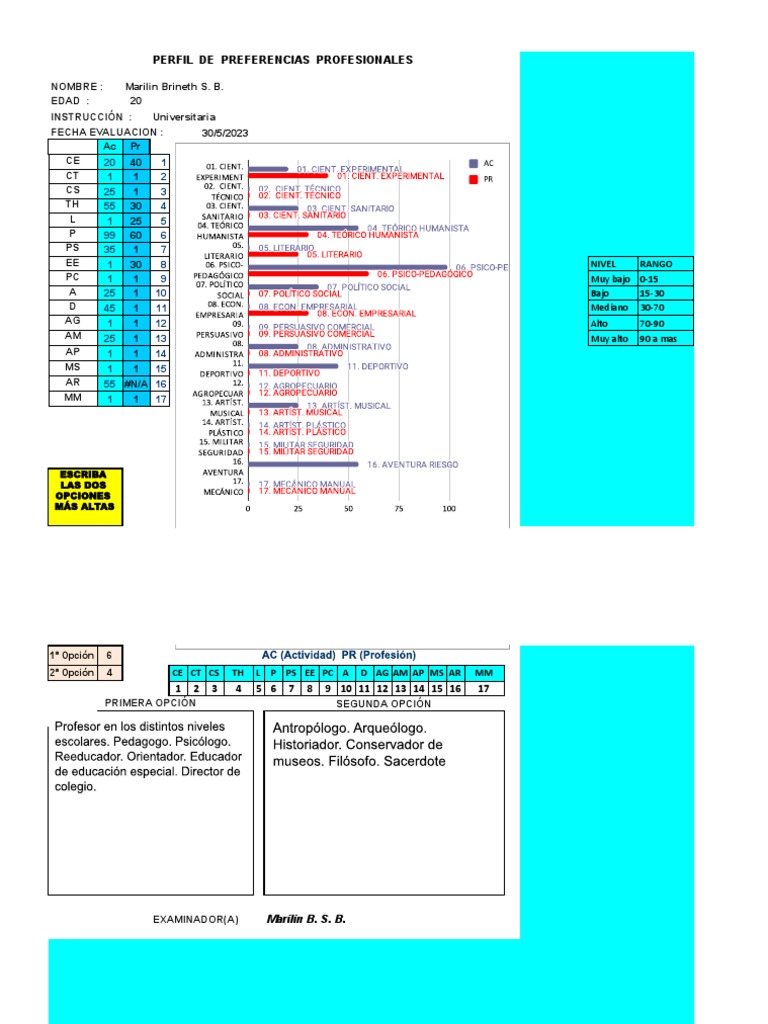 Ipp-R Ejemplo - XLSX - Perfil | PDF