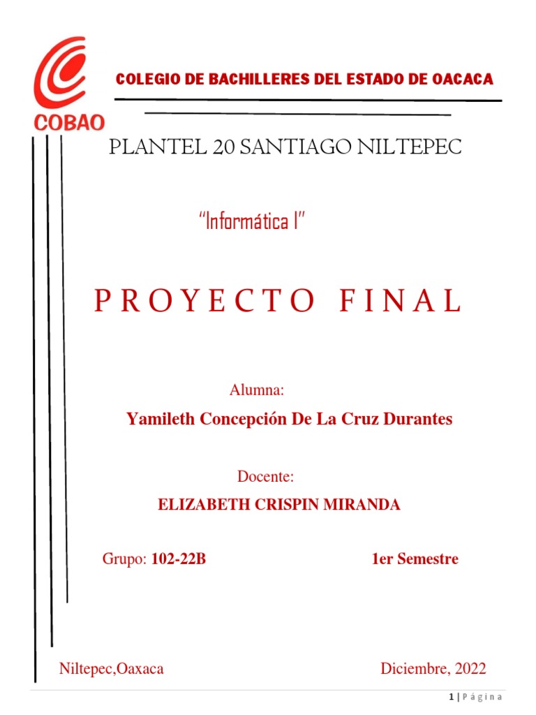 Proyecto INFORMATICA | PDF | Hardware de la computadora | Informática