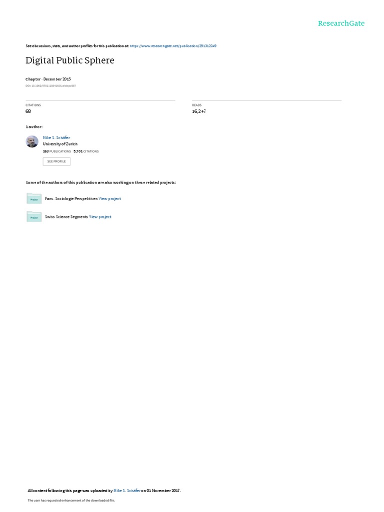 Digital Public Sphere | PDF