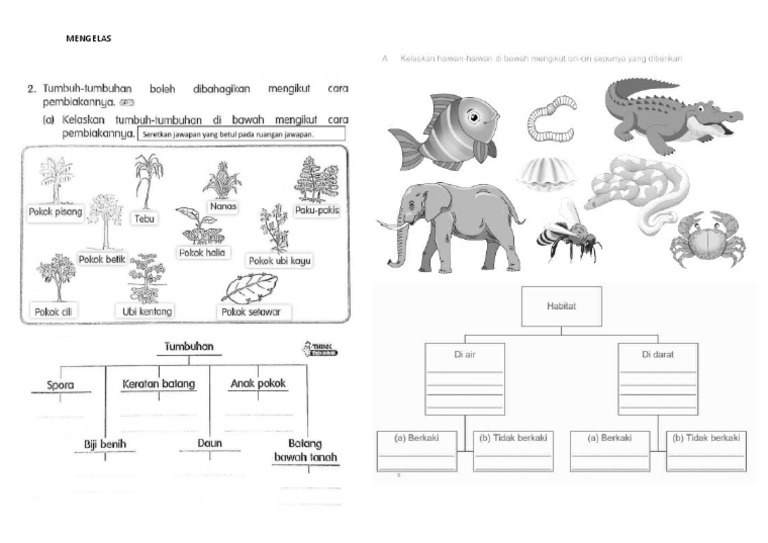 Latihan SAINS T4 | PDF