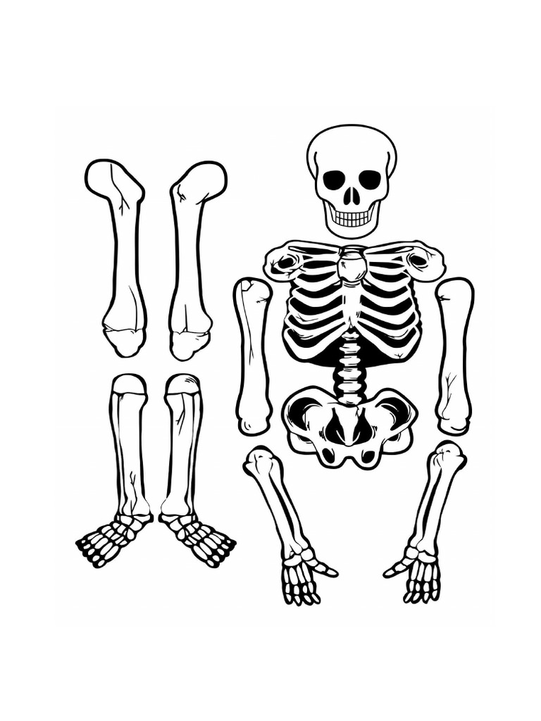 Rangka Manusia Template Tahun 5 | PDF